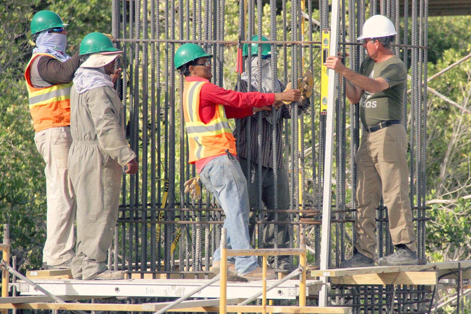 Short-term projects | DIMAS